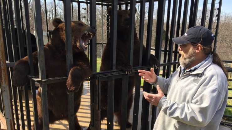 Project Grizzly - Discovery UK